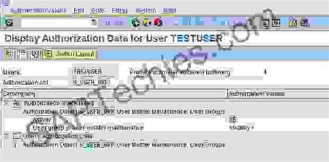 Pfcg Sap Roles And Authorizations Maintenance