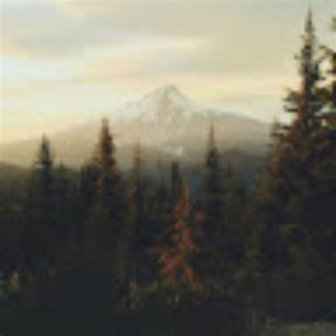 Samuelvidal Loja Online Shopee Brasil