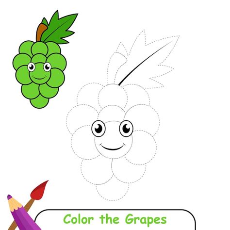 아이들을 위한 포도 색칠하기 책을 색칠하세요 포도 벡터 그래픽 프리미엄 벡터