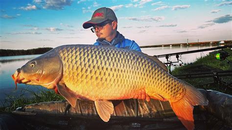 Ghid Permise De Pescuit 2024 Claumar Pescar Blog Pescuit