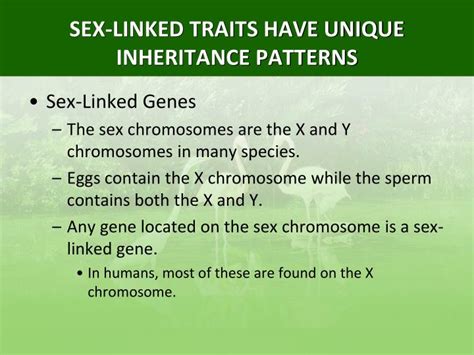 Ppt Patterns Of Inheritance Powerpoint Presentation Id