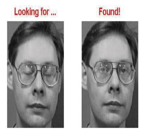 A Image Recognition B Voting Page Download Scientific Diagram