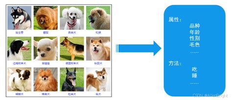 【java基础 18】什么是类：深入理解 Java 中的类与对象java什么是类 Csdn博客