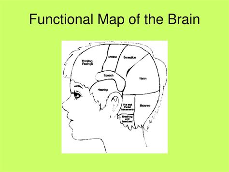 Ppt Cs623 Introduction To Computing With Neural Nets Lecture 2 Powerpoint Presentation Id