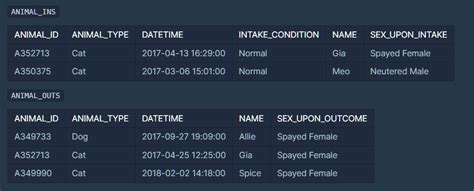 [sql 코딩테스트] 없어진 기록 찾기
