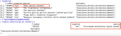 如何获取非模式生物KEGG PATHWAY的基因集并用clusterProfile做GSEA 腾讯云开发者社区 腾讯云