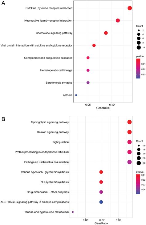 kegg enrichment analysis of dif mrnas a upexpressed dif mrnas were