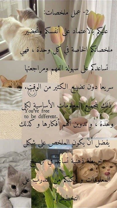 طريقة دراسة مادة العلوم الطبيعية عام الباك Youtube