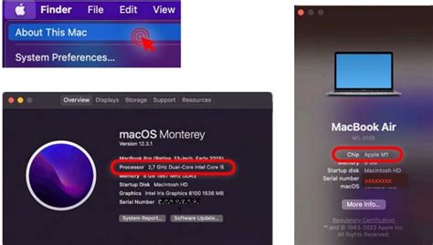 SyncMo Review Best Sync App For Smart Sex Toys