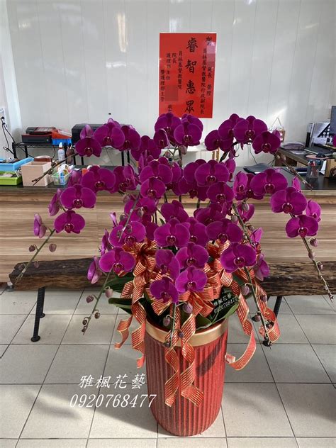 祝開業蘭花盆栽台中花店 生意興隆蘭花盆栽西屯區花店