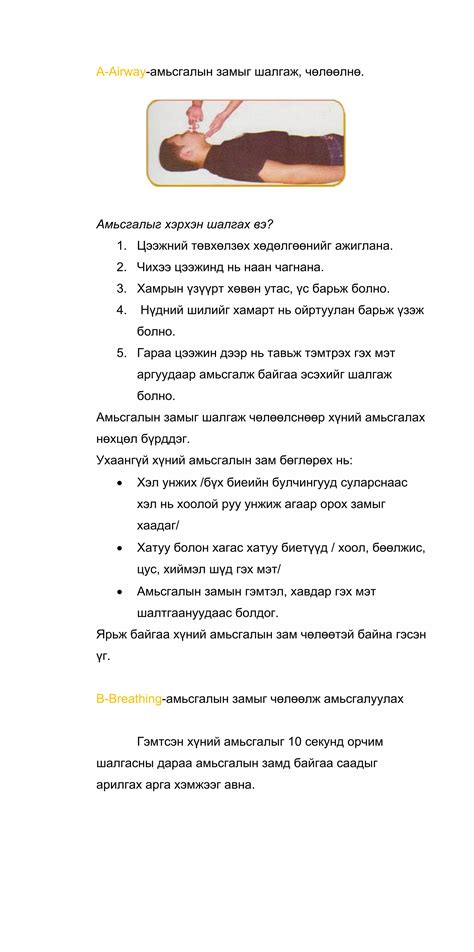 Осол гэмтлийн үед үзүүлэх анхны тусламж Pdf