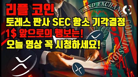 리플 토레스판사 Sec항소 기각결정으로 1 앞으로의 행보는오늘 영상 꼭 시청하세요 Youtube