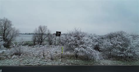 집 밖의 감기 겨울 겨울 길 겨울 진정 겨울 추위 겨울 풍경 겨울철의 경치 경치가 좋은 계절 계절성 고립된 고요한 고요한 풍경 귀엣 로드 나무