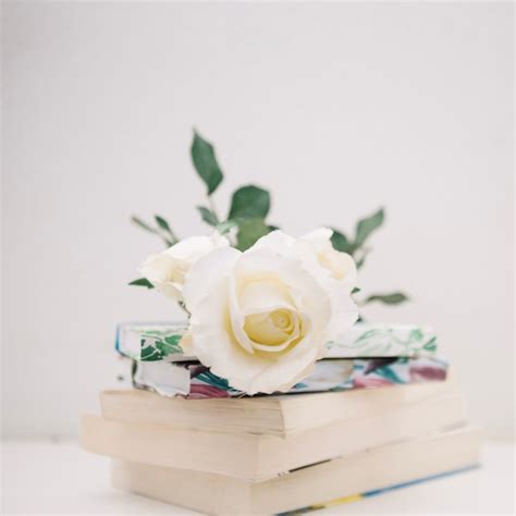 나무 배경에 오래 된 책 무료 사진