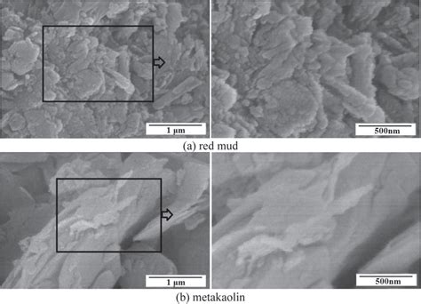 Sem Micrograph Of A Red Mud And B Metakaolin Download Scientific