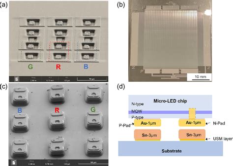 A The Photograph Of PM Backplane SEM Image Of B A Single Pixel Pad Download Scientific