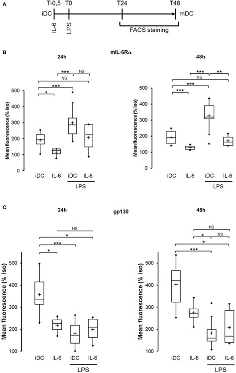 Il 6 Inhibited Both Il 6 Receptor Il 6r Subunits Expression In