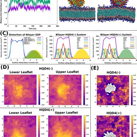 Effect Of Np Size On The Interaction Of Hybrid Cationic And Anionic Nps