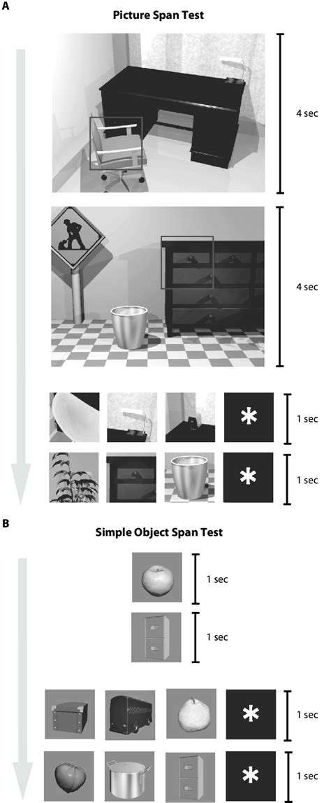 Examples Of PST And SOST A PST At Set Size 2 In The Present Download Scientific Diagram