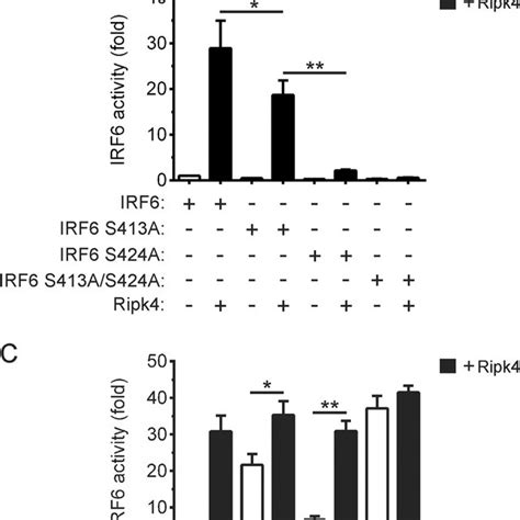 Activation Of Irf6 By Ripk4 A D Hek293t Cells Were Transfected With Download Scientific
