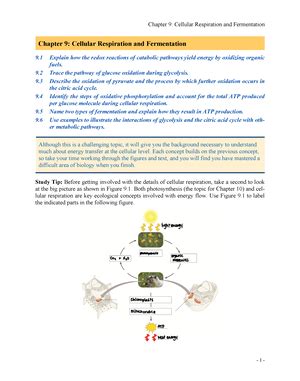 Chapter Study Guide Ch Female Genitalia And Rectal Assessment I External Genitalia