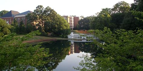 Clemson Suspends 24 Fraternities Business Insider