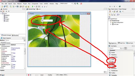 Matakaca Cara Menggunakan Delphi Untuk Pemula