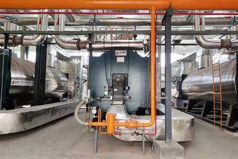 食品厂锅炉 食品厂燃气锅炉 食品厂蒸汽锅炉 案例现场 「远大锅炉」