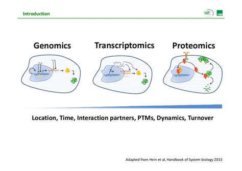 Proteomics Analysis Basics And Applications Proteomics Analysis Basics And Applications