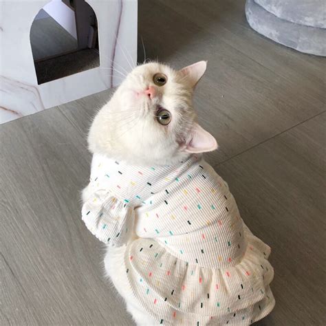 Cat Clothes 100 Cotton Dress For Cat Grandado