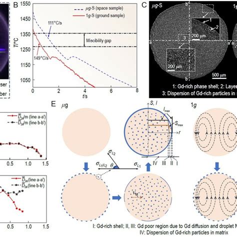 Solidification Microstructure Formation Of Ti Co Gd Alloy A