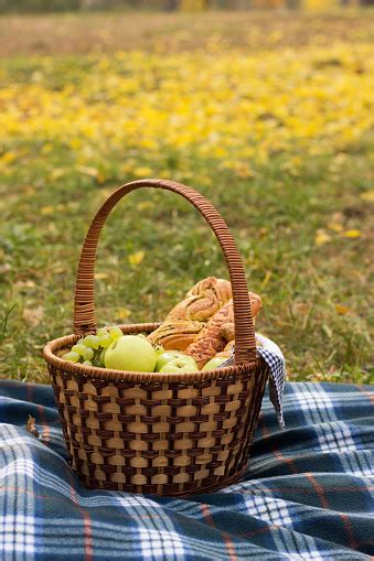 녹지와 나뭇잎의 배경에 대 한 파란색 격자 무늬에 음식이 담긴 피크닉 바구니 바구니 안에 과일을 굽고 저자는 가공 합니다 0명에 대한 스톡 사진 및 기타 이미지 Istock