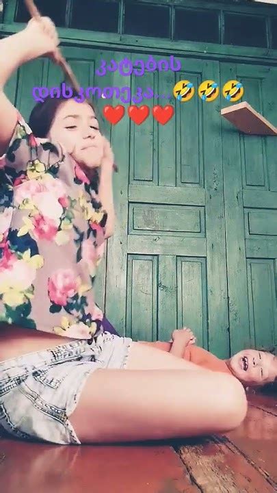 კატების დისკოთეკა 🤣🤣🤣 ️ ️ ️ Youtube