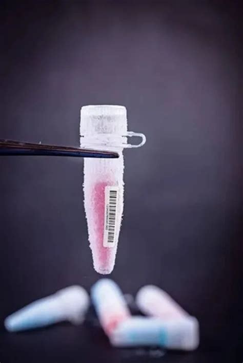 Labels For Liquid Nitrogen At Best Price In Mumbai By Vebcon Id