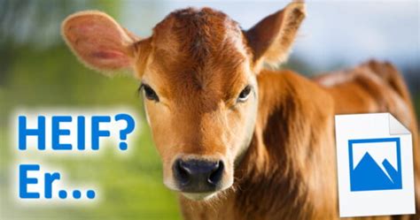 How To View HEIF And HEIC Image Files In Windows 10 Scottie S Tech Info