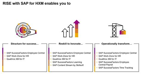 Rise With Sap For Hxm Sapphire Now Sap News