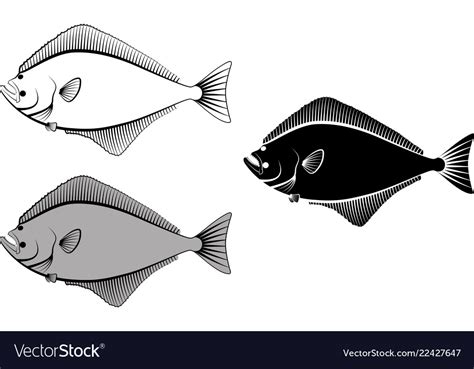 Halibut Royalty Free Vector Image Vectorstock
