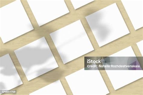 노란색 벽 배경에 흰색 질감 종이의 여러 사각형 시트 자연채광은 이국적인 식물의 그림자를 투사합니다 플랫 레이 상단 보기 0명에 대한 스톡 벡터 아트 및 기타 이미지