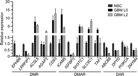 Multiplex Mapping Of Chromatin Accessibility And Dna Methylation Within Targeted Single