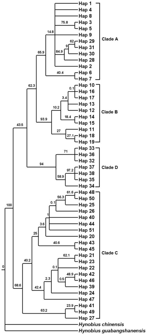 Numbers Above The Branches Represent The Bootstrap Values Download