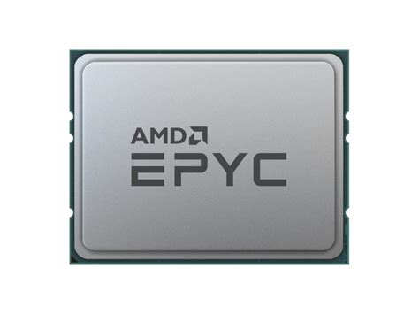Amd Epyc 7003 3rd Gen 7763 Tetrahexaconta Core 64 Core 2 45 Ghz Processor Oem Pack 256