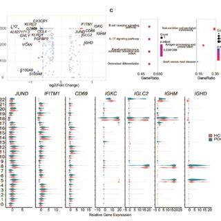 Heterogeneity Of PBMC Population Analysi By Single Cell RNA Seq A Download Scientific