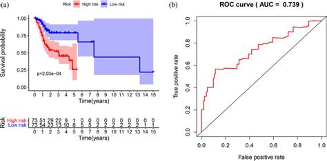 Construction And Validation Of The Immune Related Risk Signature A Download Scientific