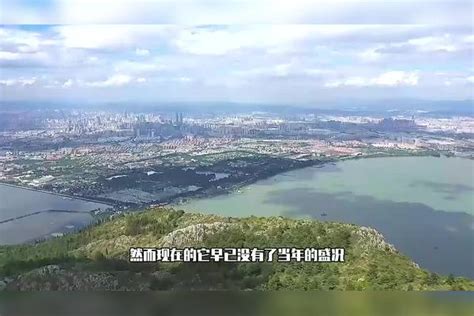为何500亿还没治好从高原明珠到臭水湖滇池经历了什么