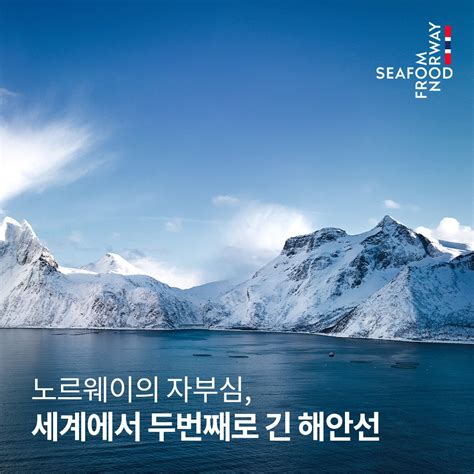 씨푸드프롬노르웨이 노르웨이 연어만으로도 식탁을 한가득 채울 수 있다 당신의 취향이 무엇이든 노르웨이 연어는 언제나 옳다 🧡매콤달콤한 양념장과 함께 밥에 얹는