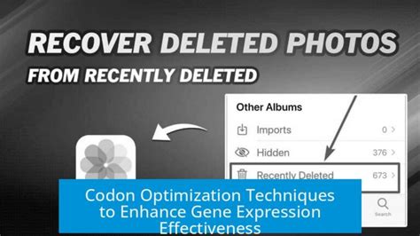 Codon Optimization Techniques To Enhance Gene Expression Effectiveness Chemcafe — Science