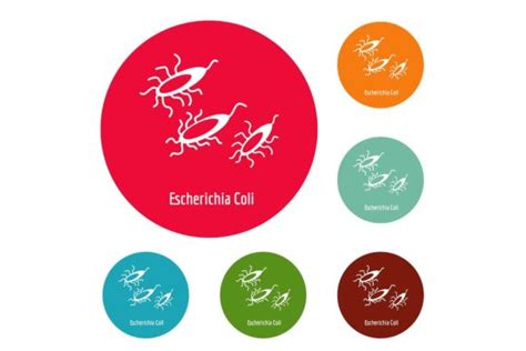Escherichia Coli Icons Circle Set Vector Graphic By Anatolir56 · Creative Fabrica
