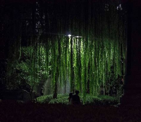 Couple Under A Tree Photo By LN Https Facebook Com Ln Rouze Stage Set Design Set