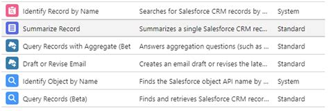 Einstein Copilot Standard And Custom Actions Apex Hours