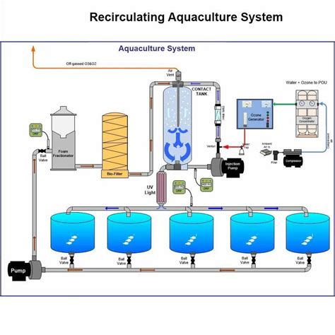 Recirculating Aquaculture System At Best Price In Vadodara By Sai
